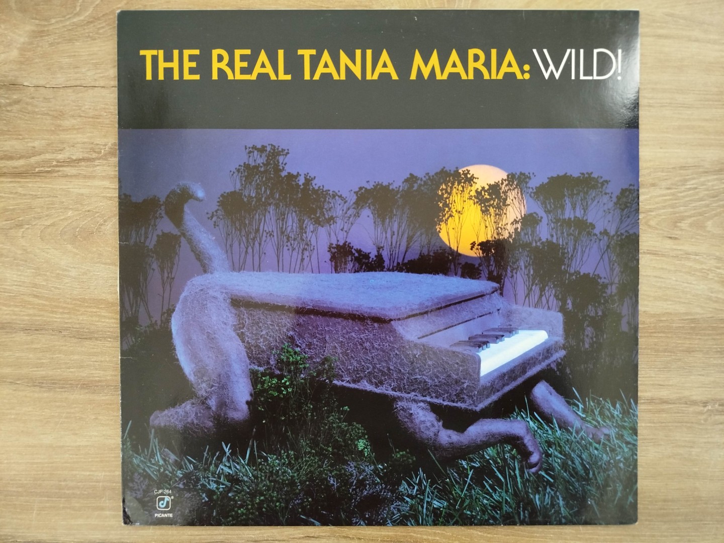 Tania Maria - The Real Tania Maria Wild! - Vinyl.ge - მუსიკალური ...